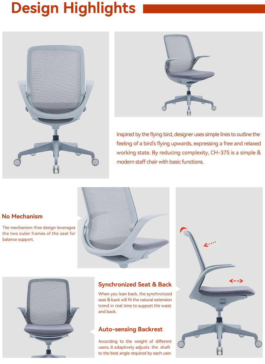 2023 New Staff Chair factory and manufacturers | SitZone